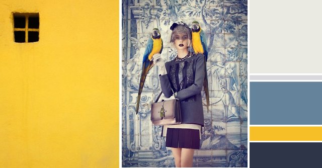 FINE & CURIOUS: Colour Palette