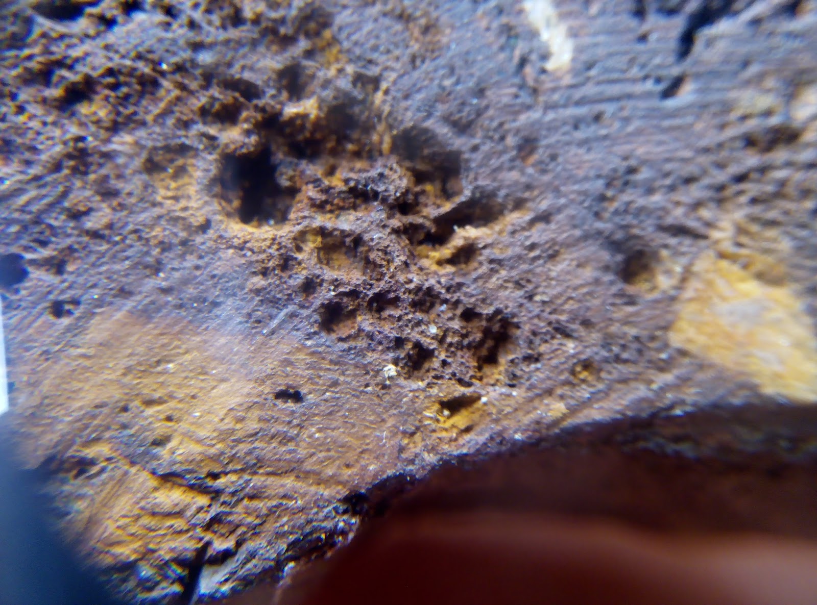 Vuggy Texture " Quartz " - World Of Exploration