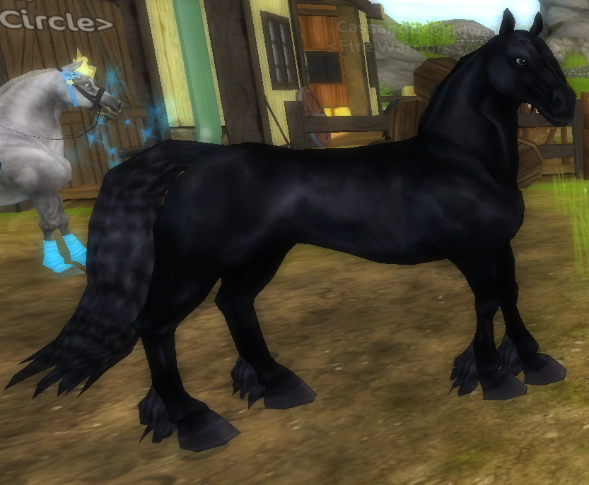 Star Stable Daily : Horse Breeds