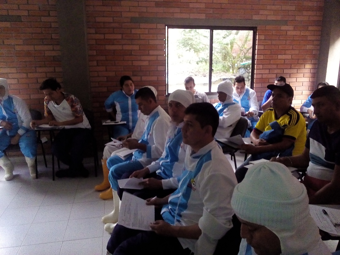 C: Proceso Campollo 2016