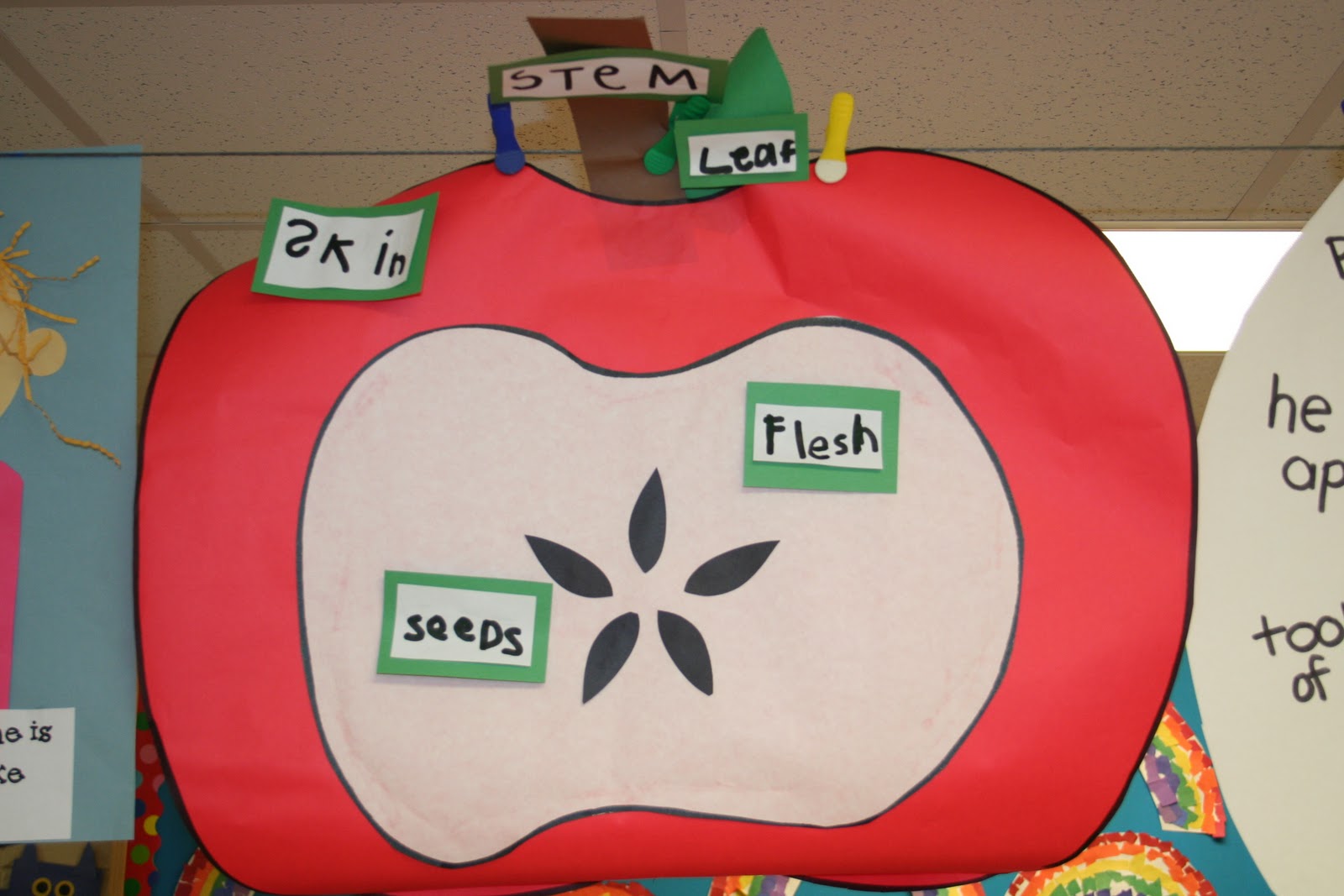 Mrs. Lee's Kindergarten: Apples!