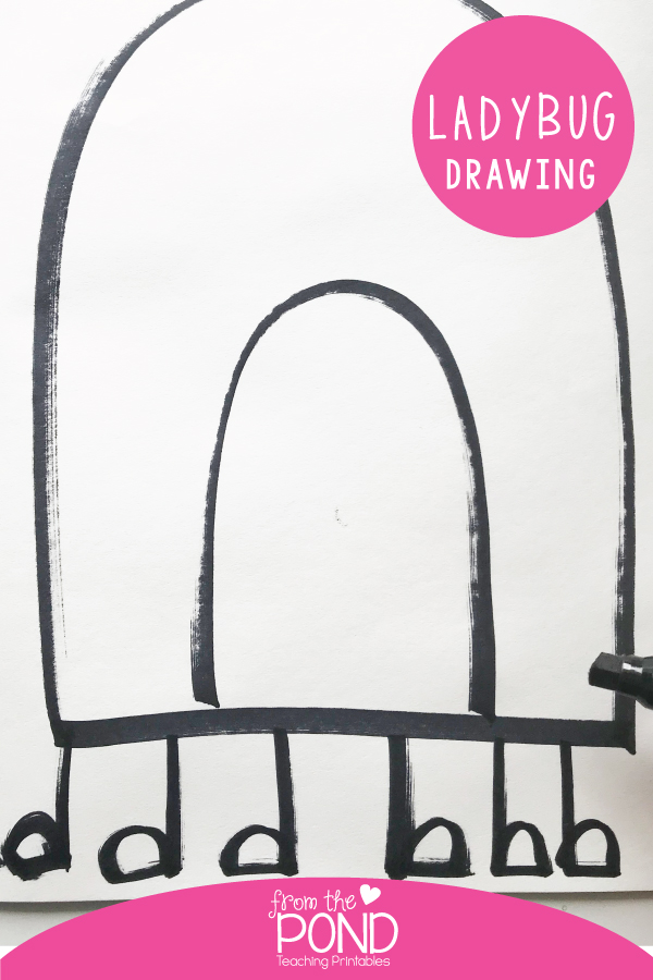 Ladybug Drawing | From the Pond