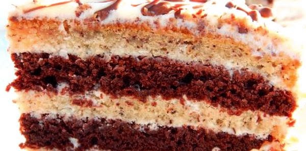 Recepti Sneza: torta sa slag kremom