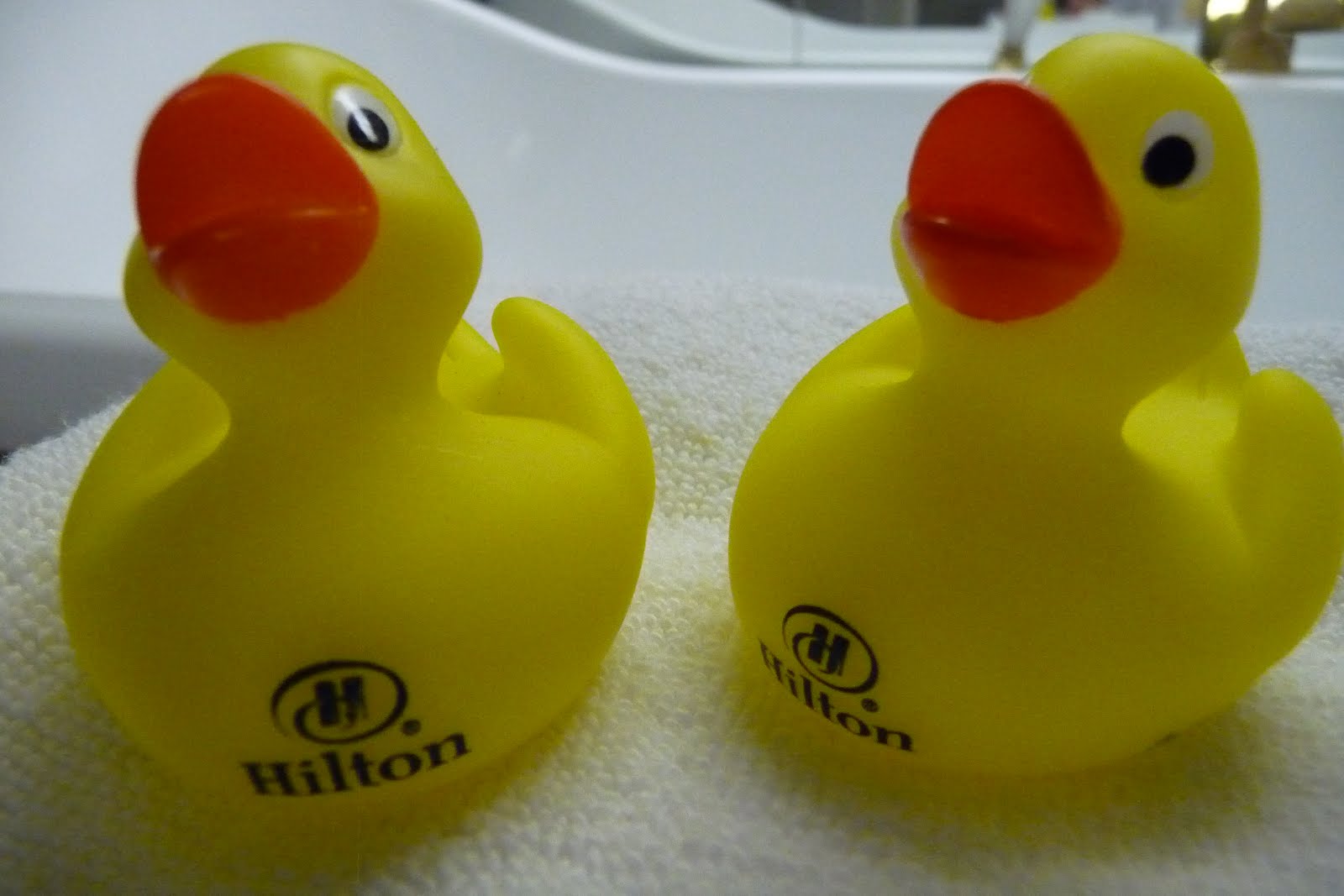 The Wandering Warners: Seniors Seeing the World: Those Hilton Rubber Ducks