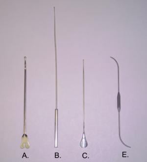 THELIZTAGRAM: Fistula Ani