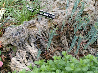 BARROW WORKS: Homemade Hypertufa Rocks