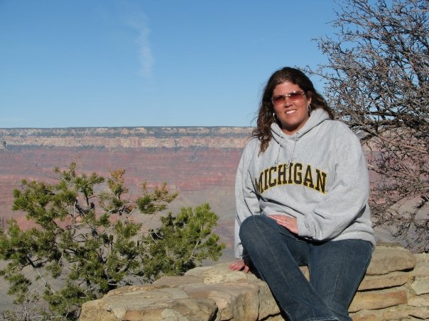 OIDV Project Of Michigan - Officer Involved Domestic Violence Project ...