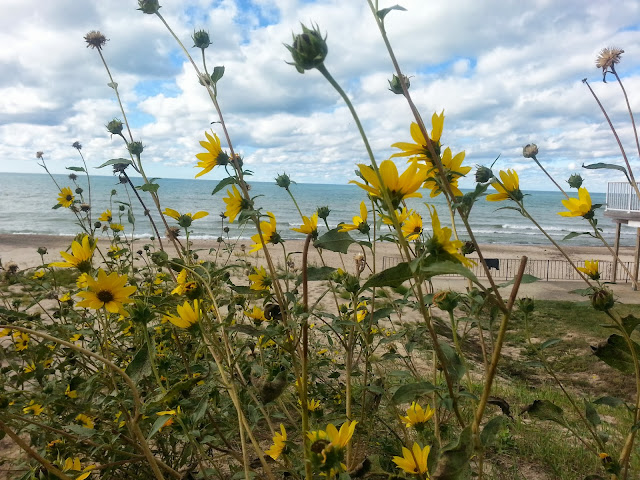 Ambience on a Budget: Fall in September