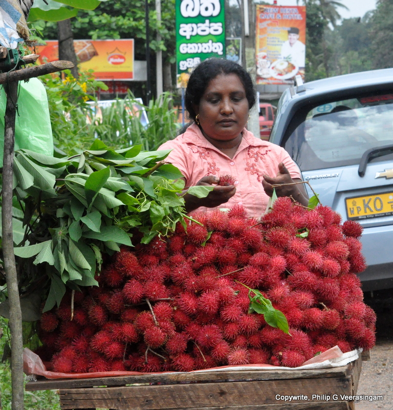philipveerasingam: Fruits in their variety, Kaluaggala, Sri Lanka.