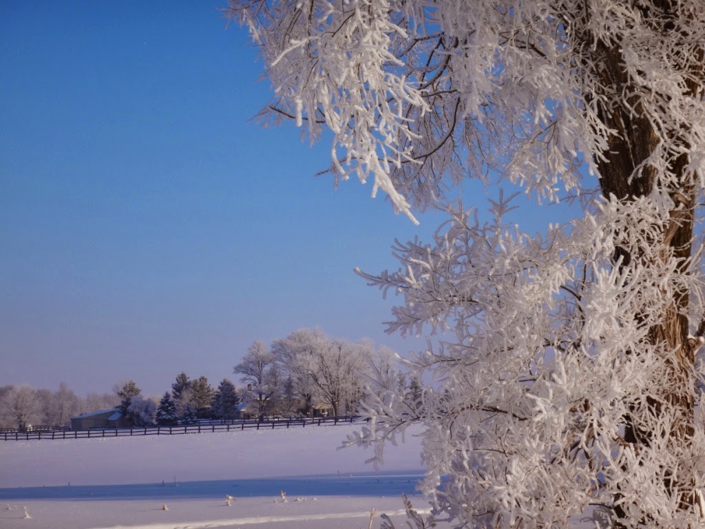 My life in Canada : Grüße aus Kalt-Kanada