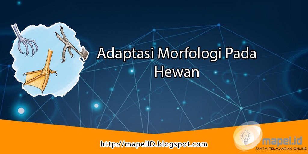 Pengertian Adaptasi Morfologi Pada Hewan - mapelID