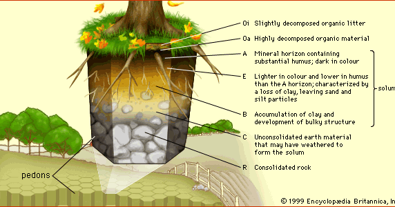 Petani Sarjana: Mineral Pembentuk Tanah