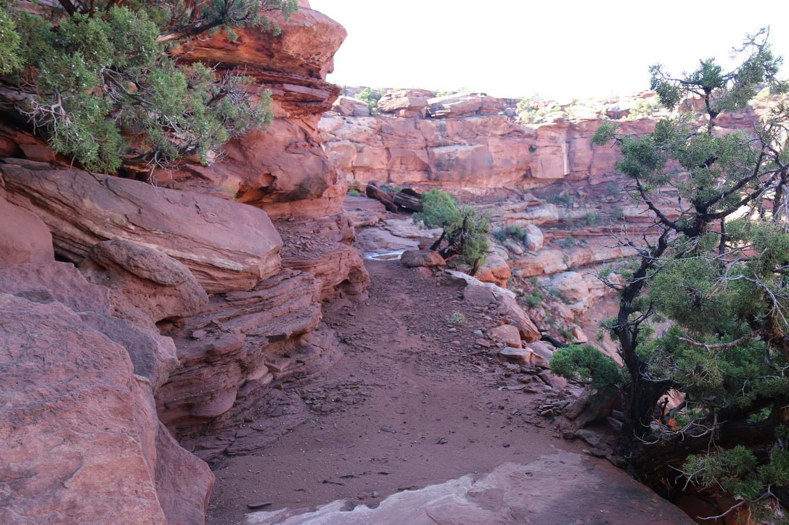 gjhikes.com: Murphy Trail Loop