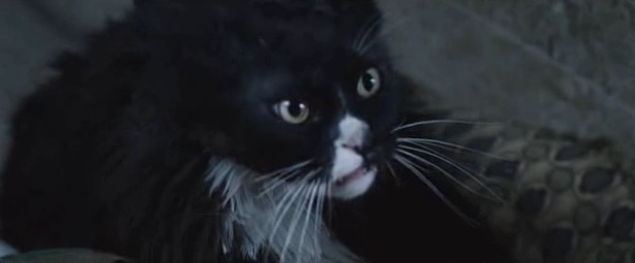 Cockeyed Caravan: Rulebook Casefile: The “Drown the Cat” Intro in “The ...