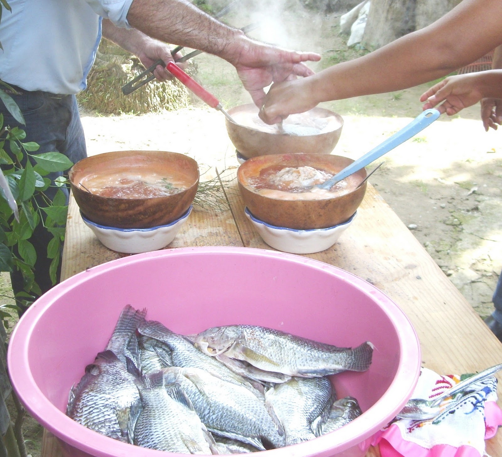 cultura chinalteca: Cocina chinanteca