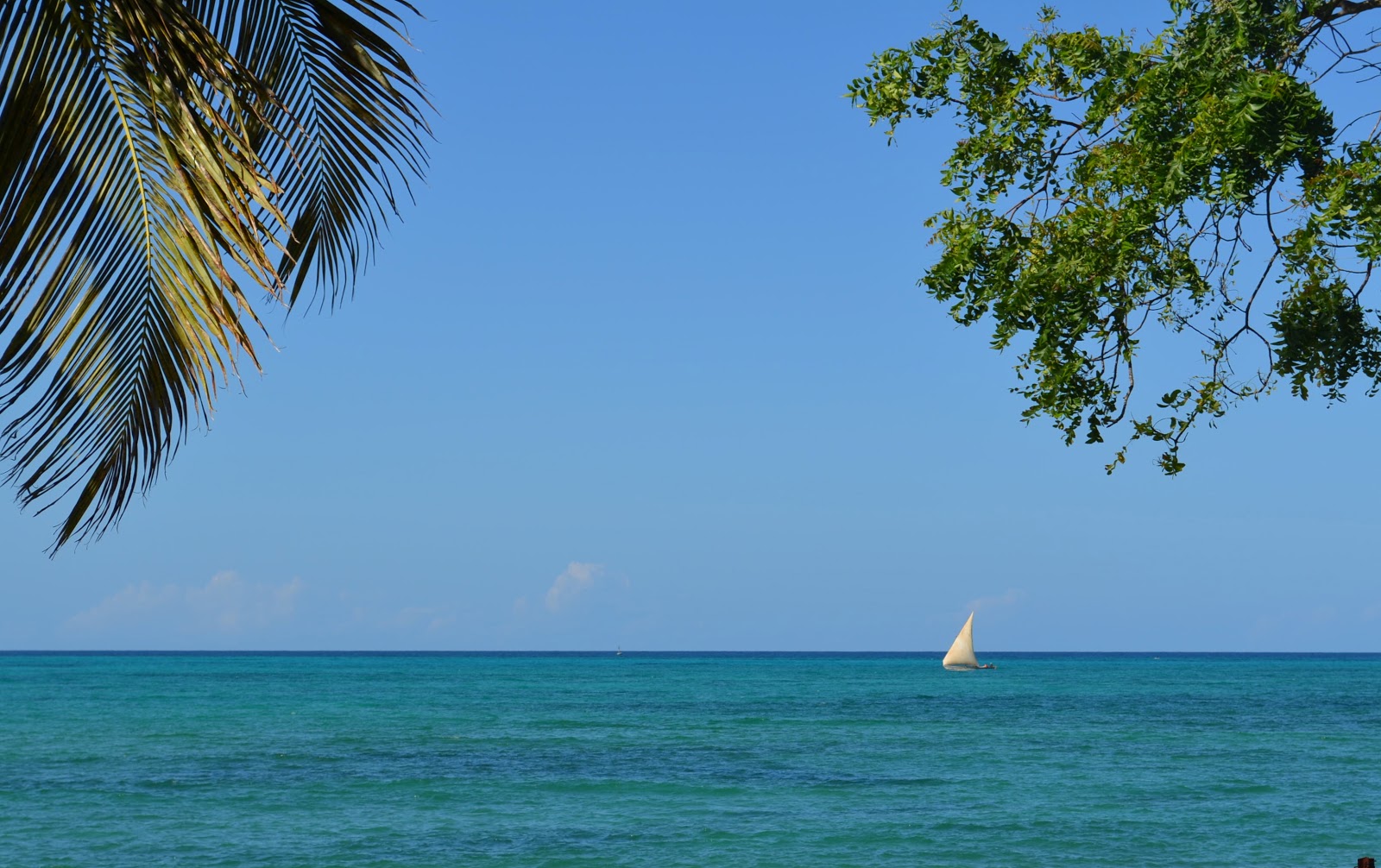 Love OverPowers: arrival to ndanda