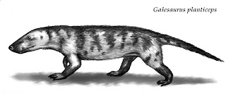 Los animales en la prehistoria: Animales prehistóricos con la letra G