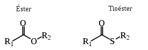 Mundo da Bioquímica (blog sobre bioquímica): Grupo tioéster