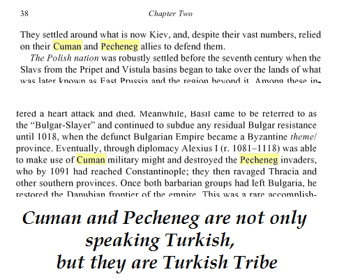 TARİH VE ARKEOLOJİ: Kipchak Cuman Turks in Europe and Codex Cumanicus
