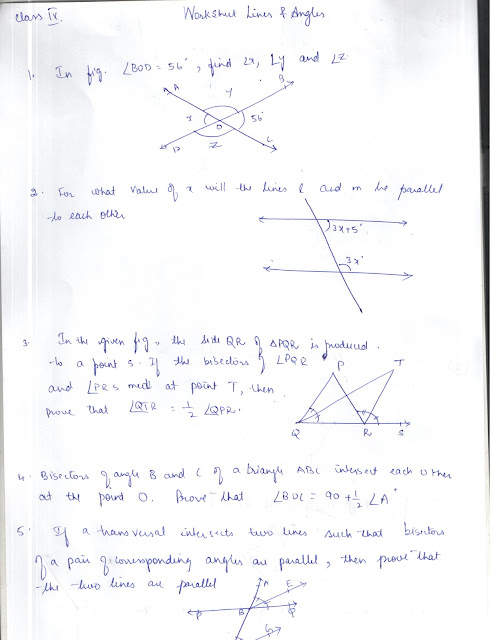 Ruhi Sakina: Class IX :Work Sheet On Lines And Angles