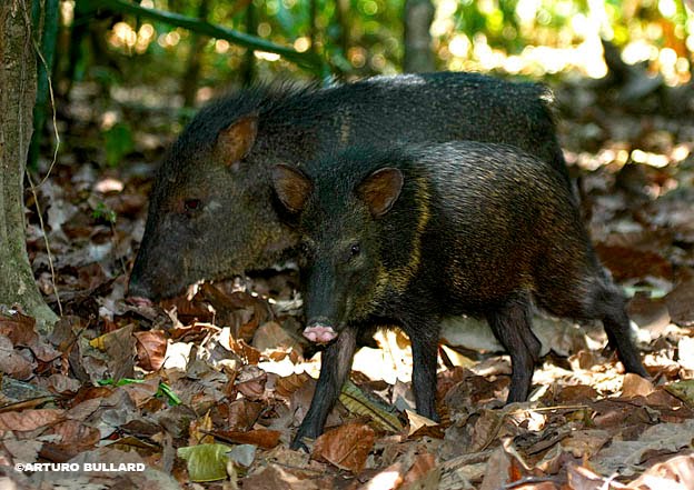Viajes, Fotografía y Más: febrero 2011