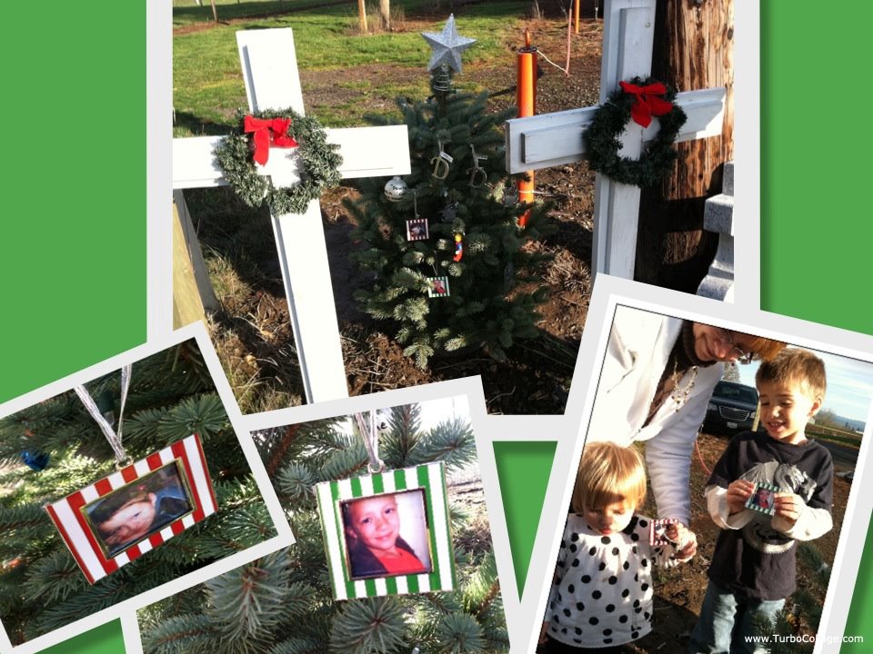 Teresa Hunt Photography: Memorial Christmas Tree