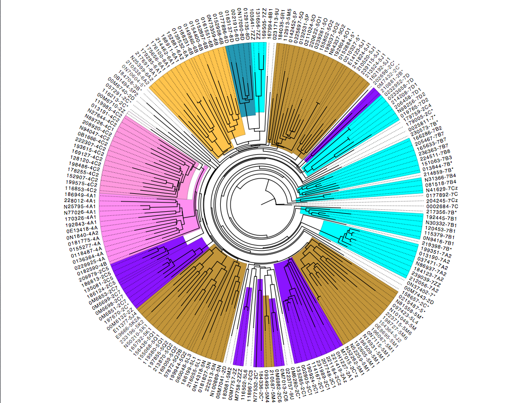KurdishDNA: R1a1a comparison STR111 Part II