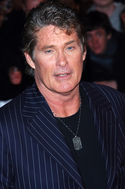 David Hasselhoff Plastic Surgery Before And After Botox And Eyelid Surgery ~ Celebrity Before