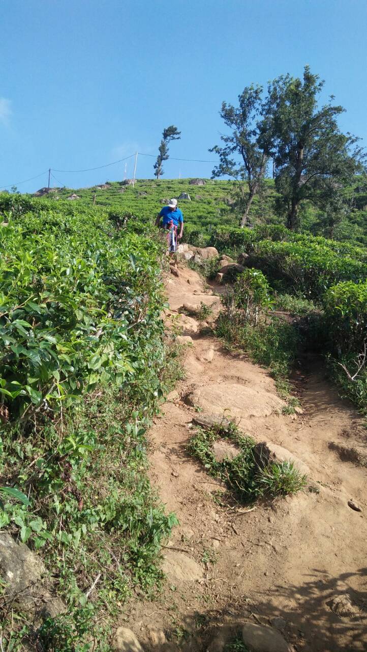 Patna View Point Deniyaya- Burusgala