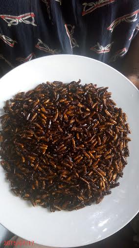 Aku, E Sun Sun, Chinge :- Have You Ever Tasted The Nigerian Termite ...