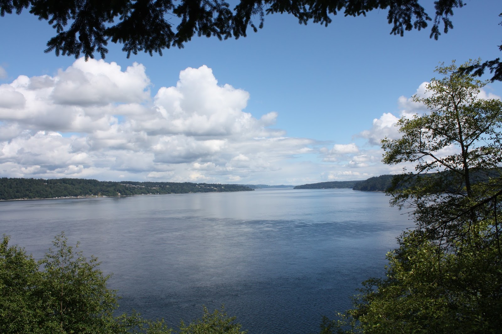 A Little Time and a Keyboard: Point Defiance Zoo & Aquarium {Nature ...