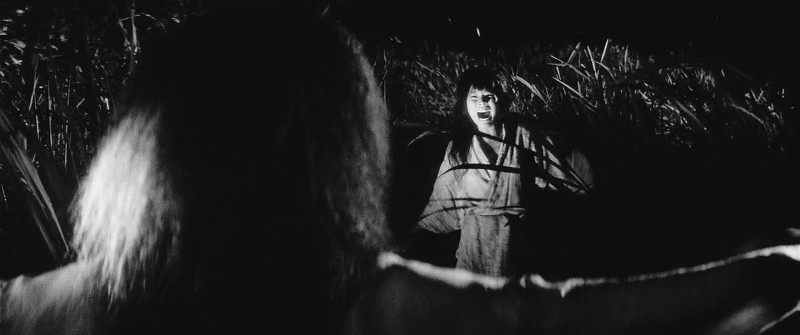 3B Theater: Micro-Brewed Reviews: Ghosts in the Tall Grass :: A Beer ...