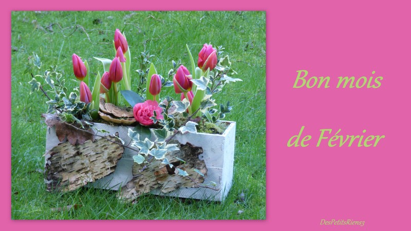 DesPetitsRiens3 : Bon mois de Février