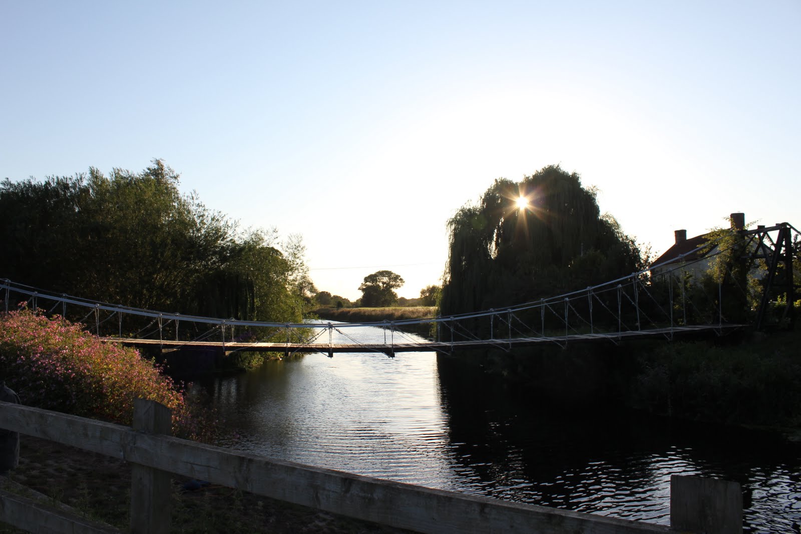 2011 - A picture every day: August 2011