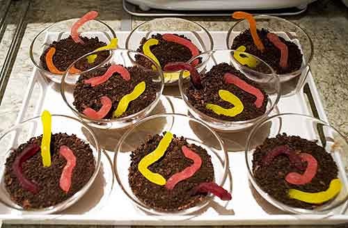 Retired--Now What?: Insect-Themed Food Addendum