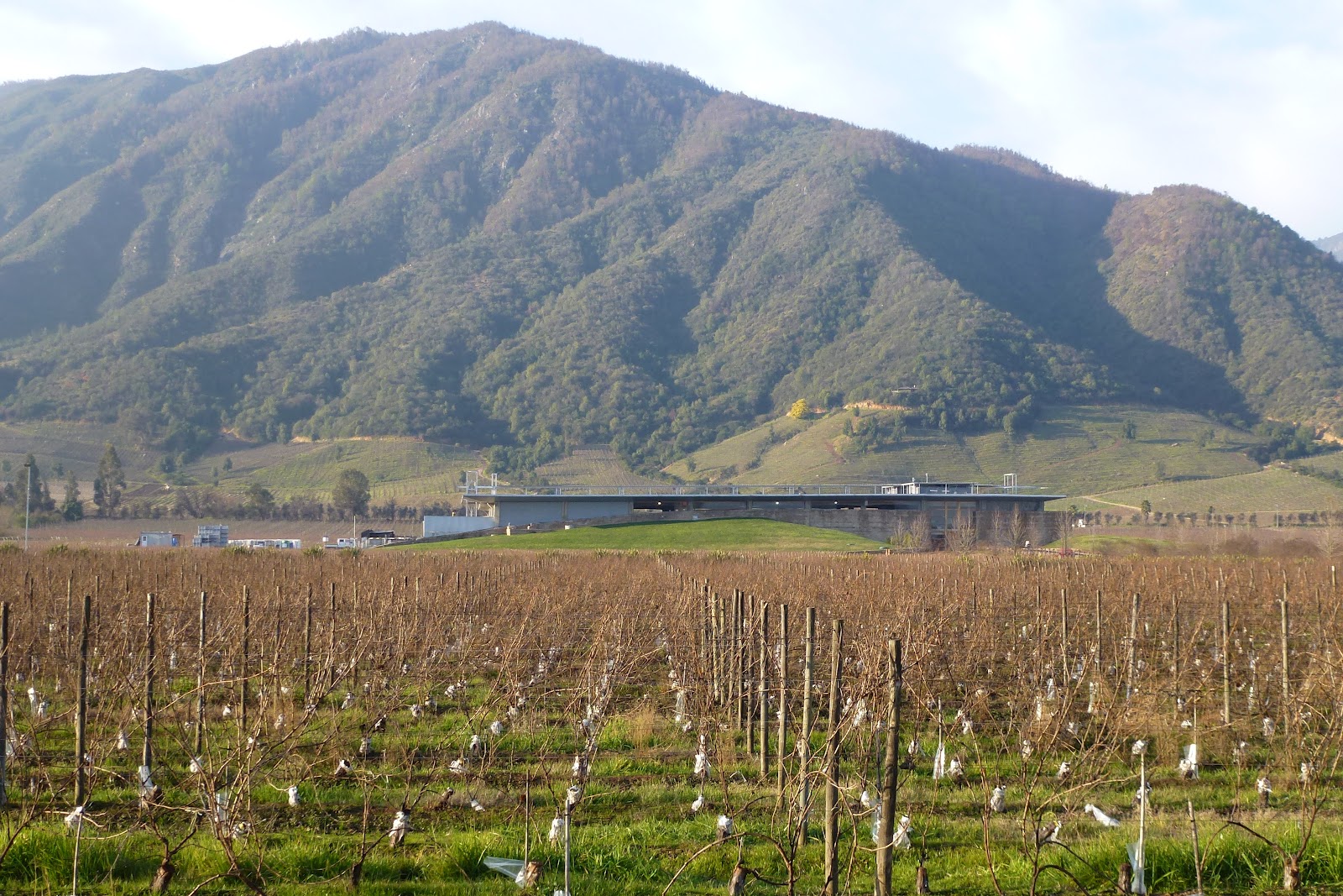 viajeros en chile 2012: Etapa 9. Santa Cruz. Valle de Colchagua.