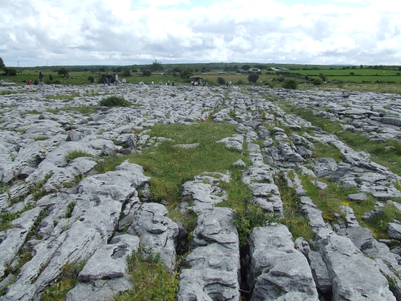 Martin's Tuckerbag: August 2012