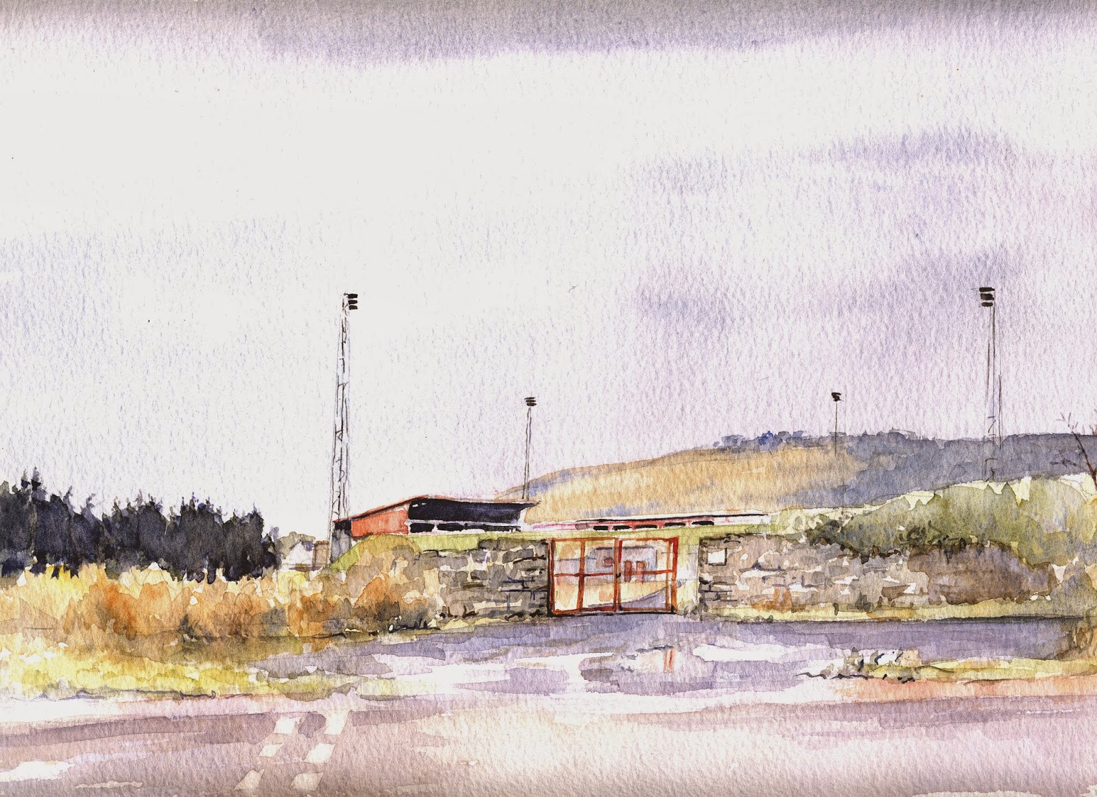 Carmarthen Artist: Stradey Park