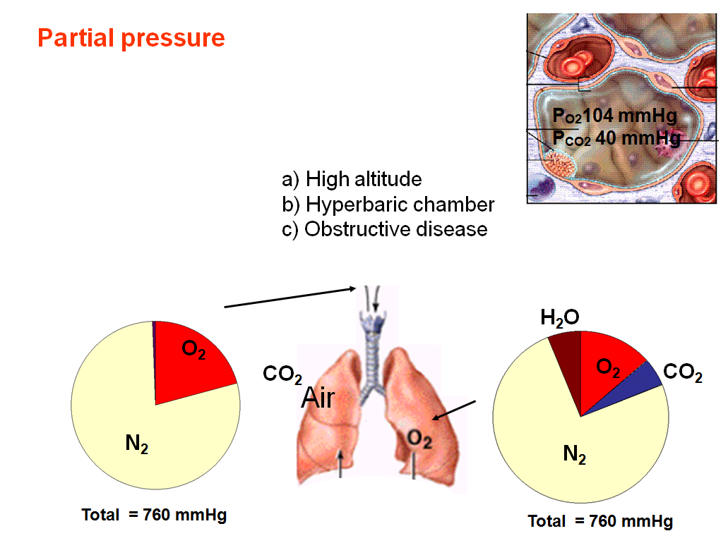 MBBS Medicine (Humanity First): Normal Values and Concentrations ...
