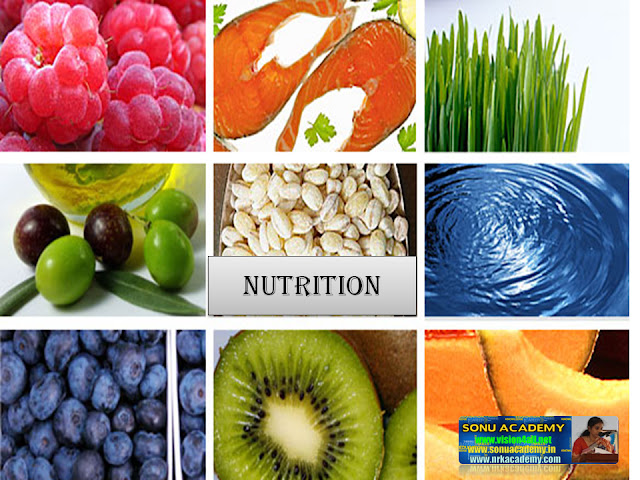 Sonu Academy Autotrophic Heterotrophic And Mixotrophic Nutrition Text