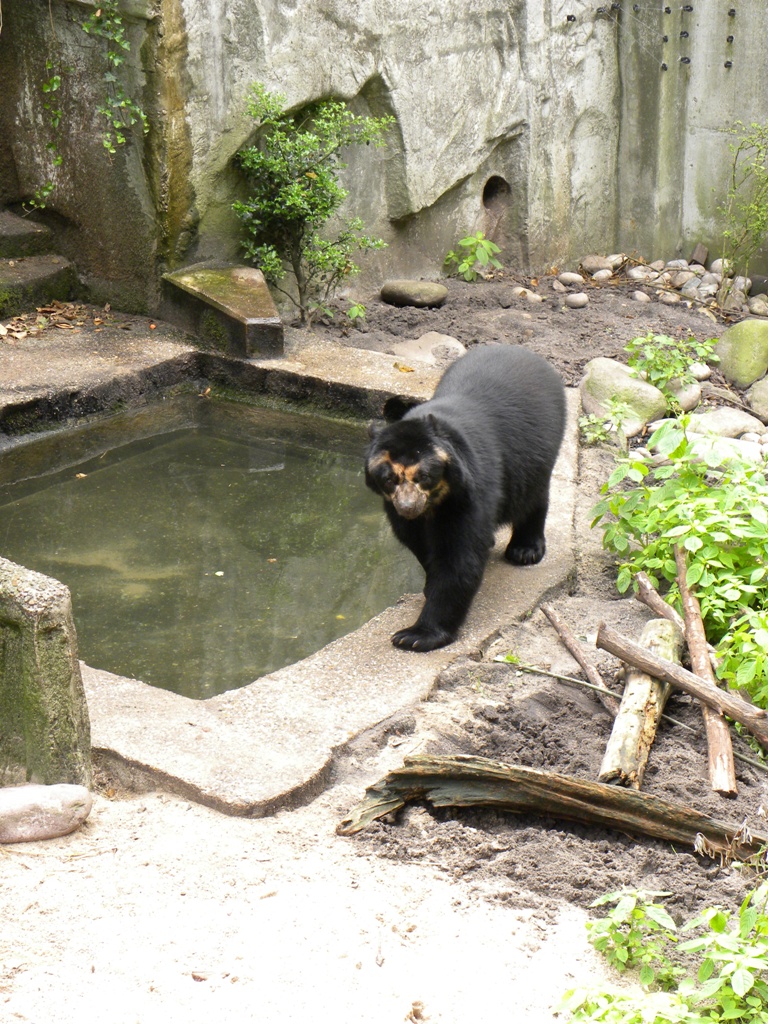 Travels - Ballroom Dancing - Amusement Parks: The first Zoo of The ...
