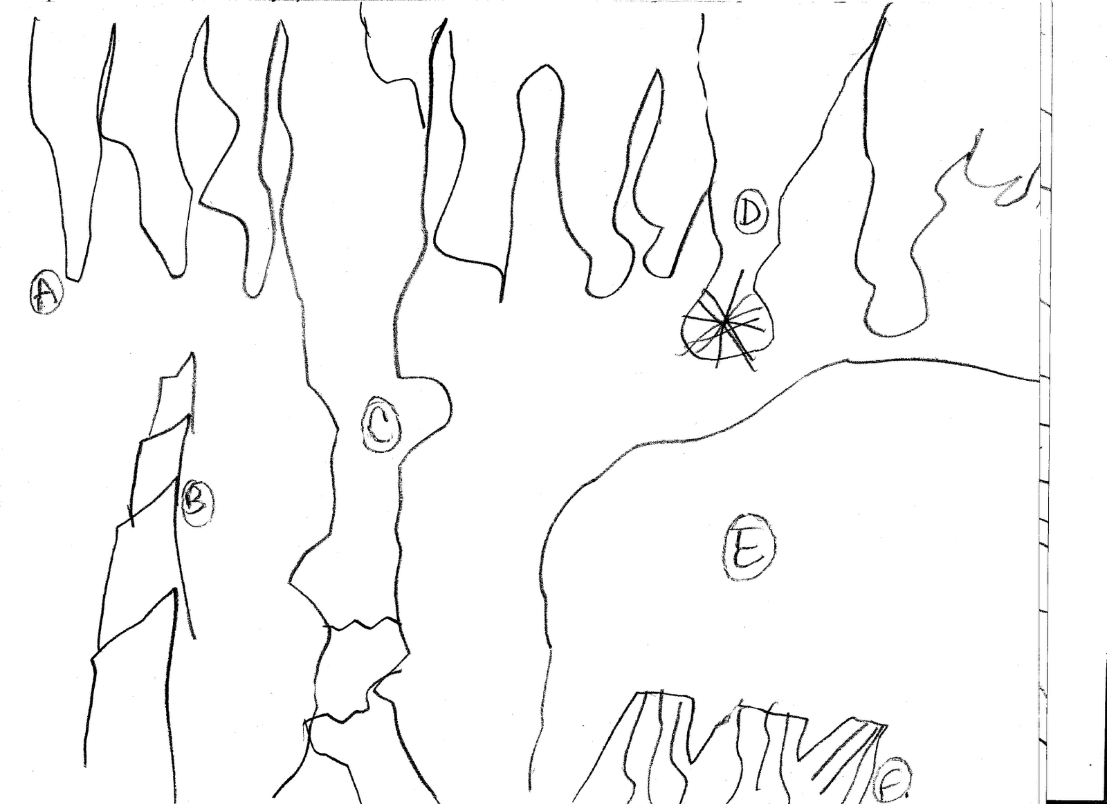 Lian's Summer of Fun: Making School Fun: Making A Cave