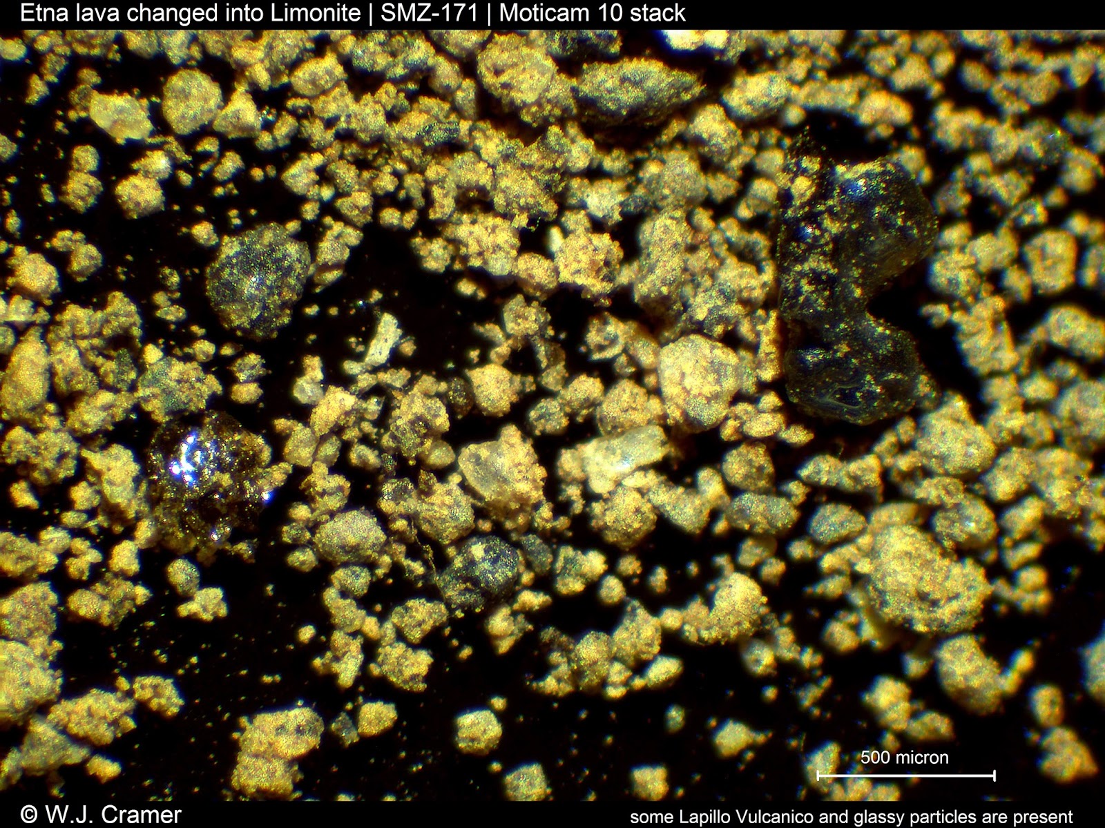 Motic Europe | Blog: February 2018