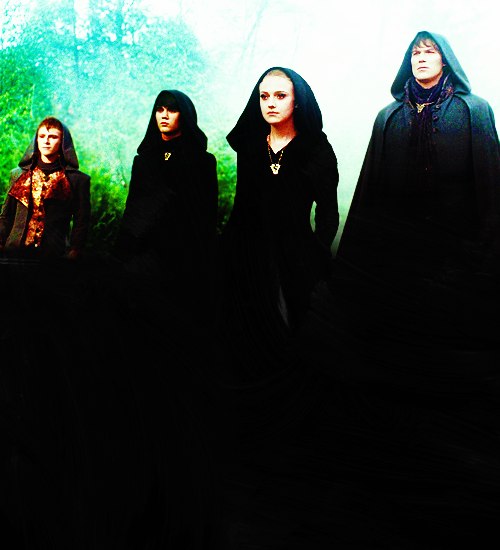 Everything †: How to behave in the Volturi castle (Handbook for Dummies)