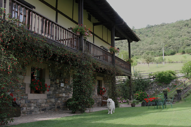 Posada San Pelayo. San Pelayo. Camaleño.(Cantabria) - viajes con mi perro