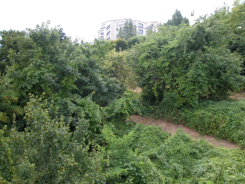 Les Petites Herbes: Le talus des Milons, Espace naturel sensible de la ...