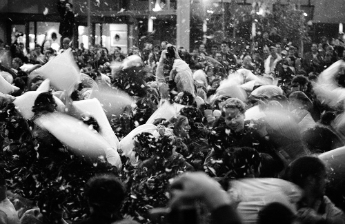 cathaloves: pillow fight : exploding white feathers