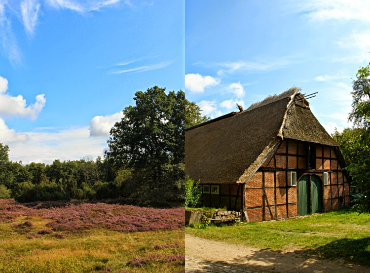 All The Live Long Day: Lüneburger Heide
