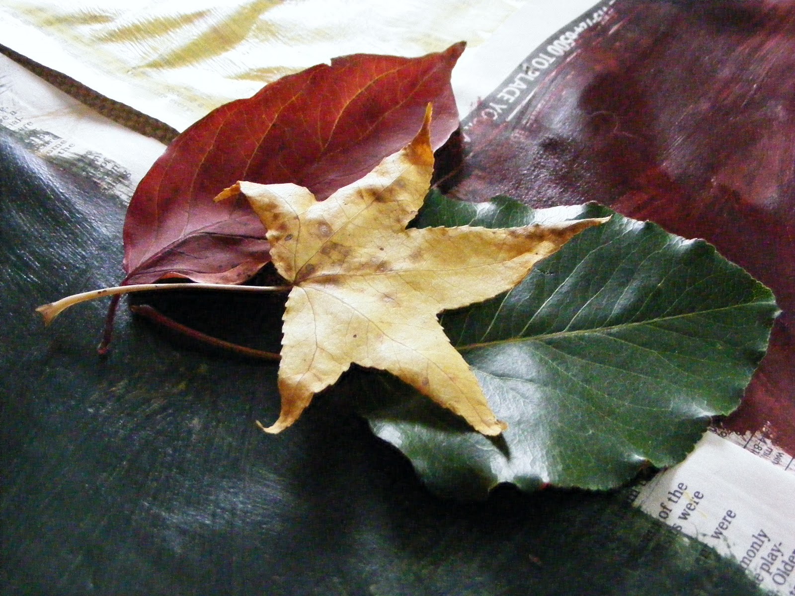 EcoScrapbook: Kid's craft tutorial: Newspaper leaf wreath