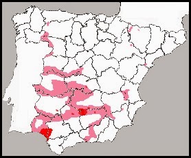 TIERRA SYLVANA: LINCES.